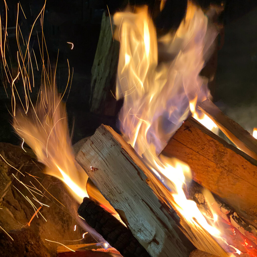 Save Your Ashes Useful Ways To Reuse Wood Stove Ashes